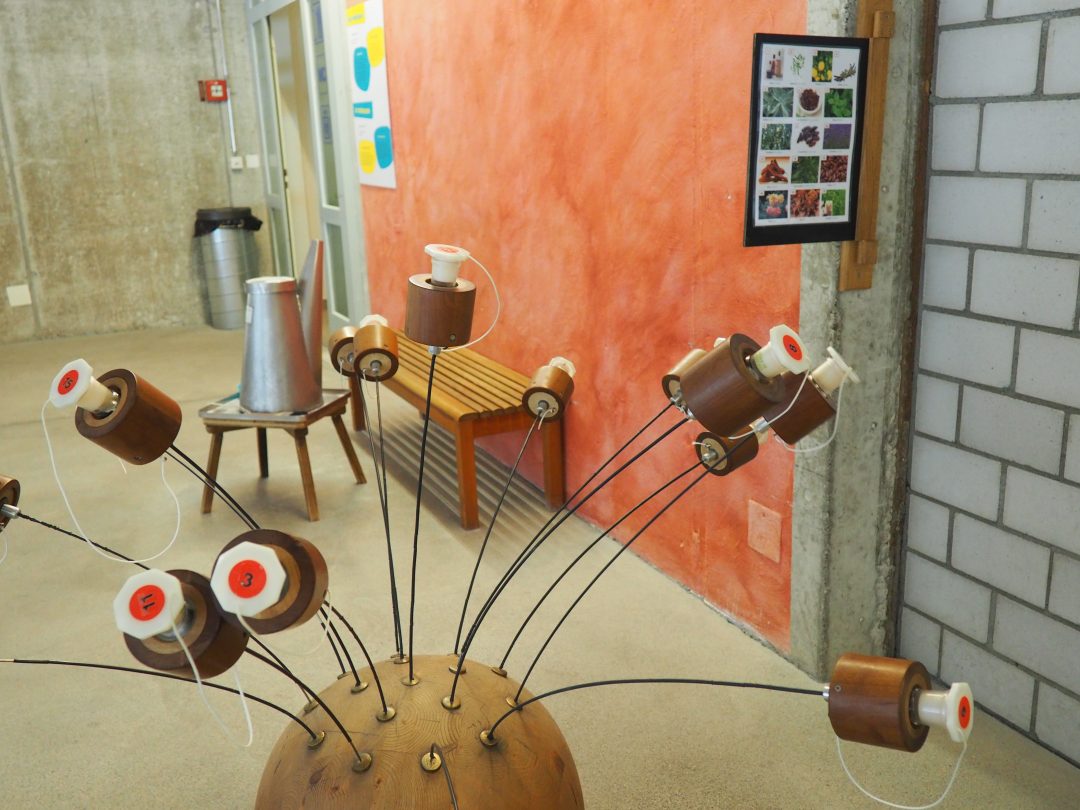 MUSEO SENSORIUM: PON A PRUEBA TUS SENTIDOS - Nosaltres4Viatgem